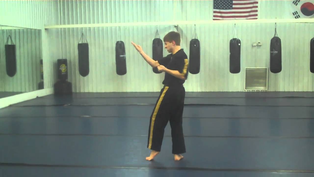 Under Belt Forms | Maxwell's Tae Kwon Do